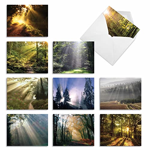 The Best Card Company - 10 Assorted Sympathy Cards Boxed (4 x 5.12 Inch) - Condolence, Bereavement Greetings - Shining Through AM1735SMG-B1x10
