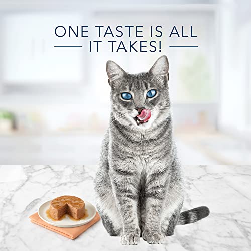 Blue Buffalo Tastefuls Natural Pate Wet Cat Food Variety Pack, Chicken, Turkey & Chicken and Ocean Fish & Tuna 5.5-oz Cans (24 Count - 8 of Each)