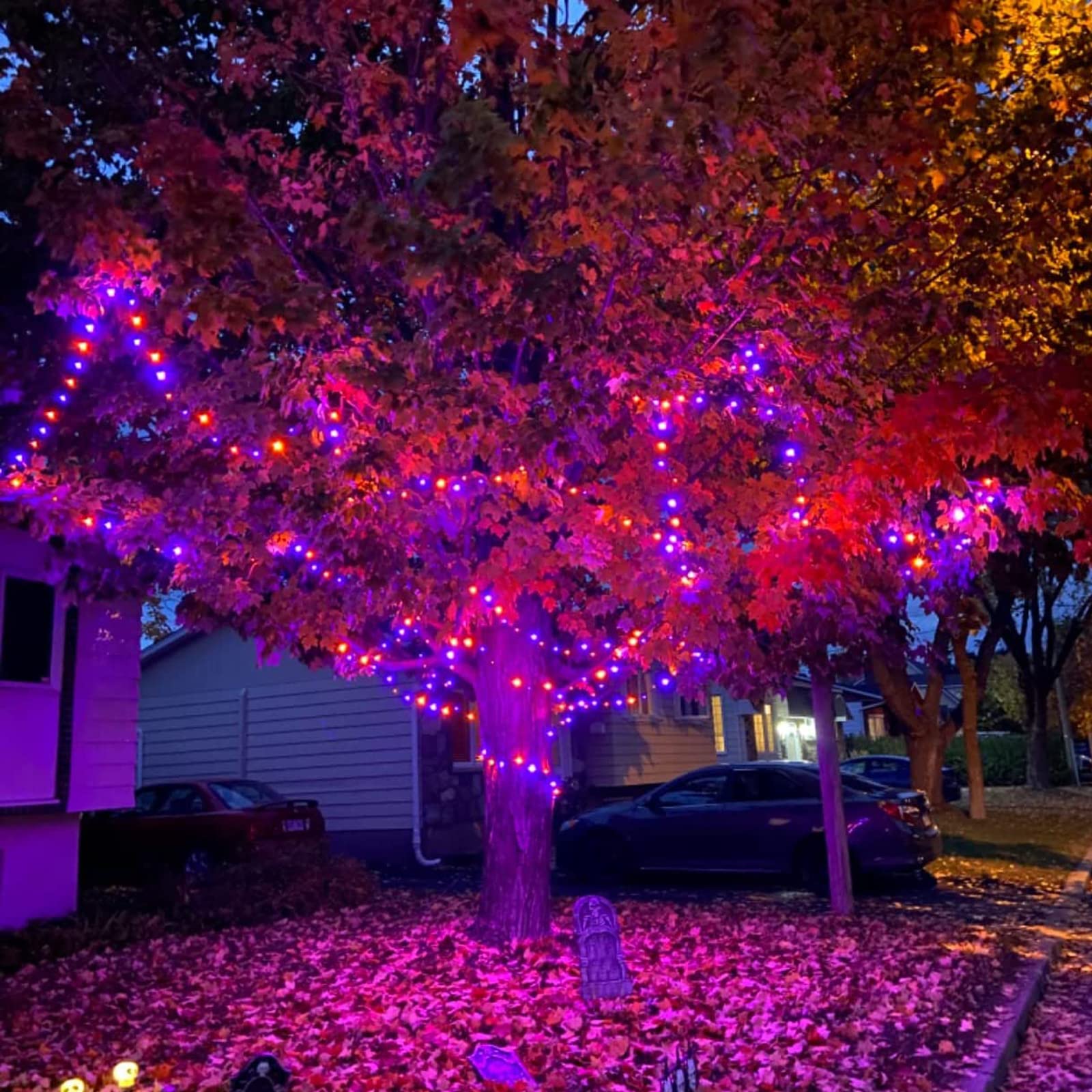 Joomer Orange Purple Halloween Lights 100FT 300 LED Connectable String Lights with 8 Modes Timer Waterproof Plug-in Orange Purple String Lights for Indoor Outdoor Halloween Decorations