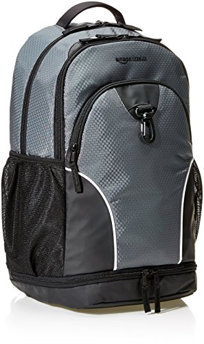 Amazon Basics Sport Laptop Backpack - Graphite