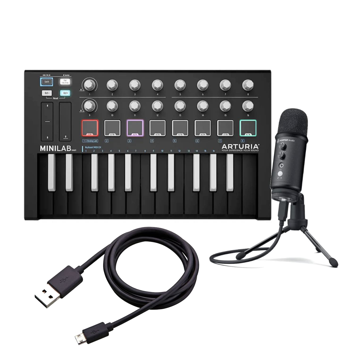 Arturia MiniLab MKII MIDI Controller Keyboard, USB Condenser Microphone with Stand, & USB Cable BUNDLE- 25 Key MIDI Keyboard for Mac and PC, Recording Studio Equipment, Software Included (BLACK MIDI)