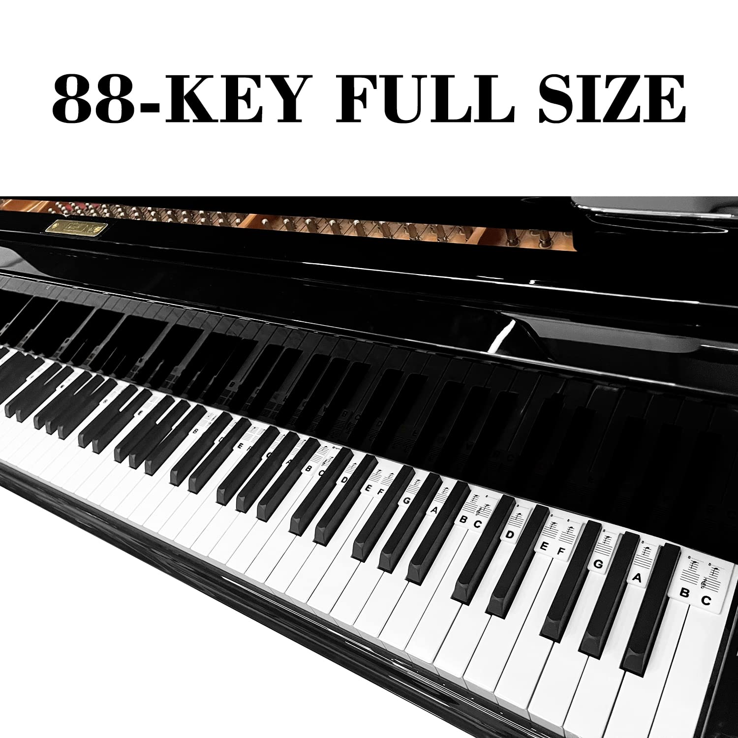 AOYNG Piano Notes Guide, Removable Piano Keyboard Note Labels for Learning, 61/88-Key Full Size, Made of Silicone, No Need Stickers, Reusable and Comes with Box (Black)