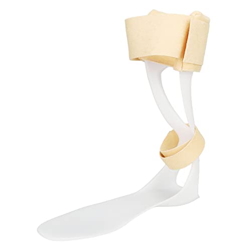 Ankle Foot Orthosis Support Drop Foot Splint Half Palm Design Lightweight Ergonomic Hollow Heel Adaptive for Injury Recovery