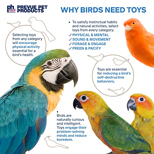 Prevue Pet Products 62606 Calypso Creations Club Bird Toy, Multicolor