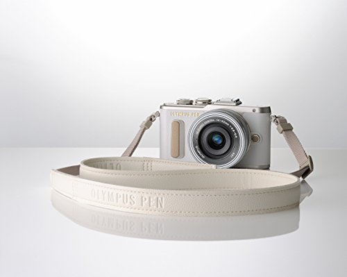 OLYMPUS Pen E-PL 8 EZ Double Zoom Kit [White][International Version, No Warranty]