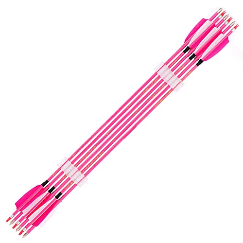 annastar 30" Carbon Feather Arrows Practice Hunting Arrows Spine 300 340 400 500 600 700 800 for Recurve Bow & Compound Bow (12 pcs) (30inch Spine 500, Pink)
