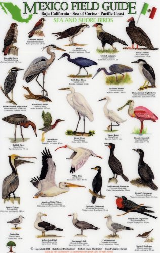 Sea and Shore Birds: Baja California - Sea of Cortez - Pacific Coast (Mexico Field Guides) (Mexico Field Guides S.)