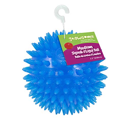 Gnawsome⢠3.5â Spiky Squeak & Light Ball Dog Toy - Small, Cleans teeth and Promotes Dental and Gum Health for Your Pet, Colors will vary