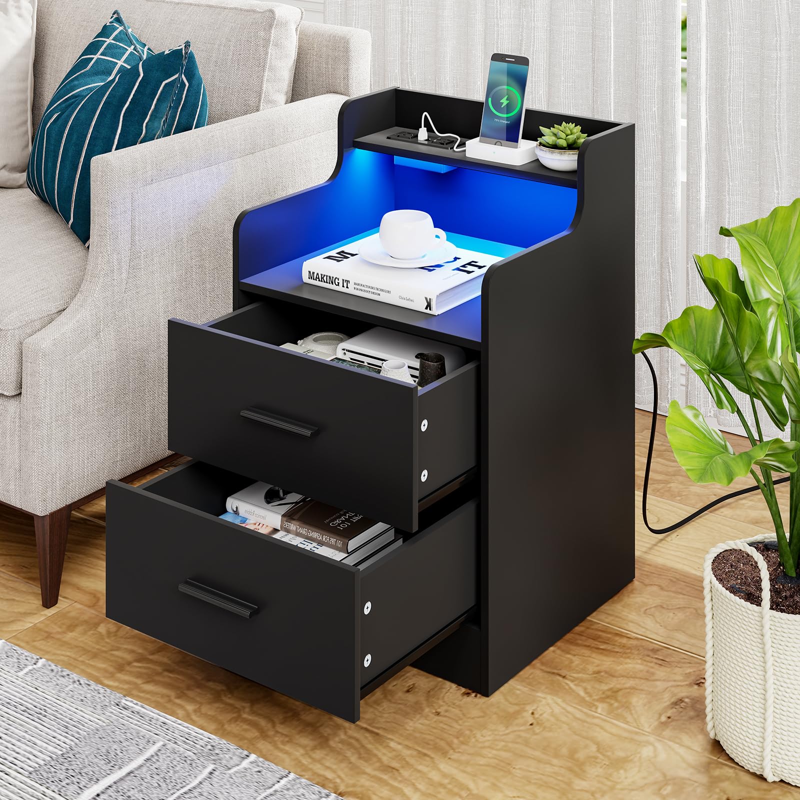 Nightstand with Charging Station,Modern Bedside Table with LED Light, Night Stand with 2 Drawers and Storage Shelves, Bedside Table for Bedroom,End Side Table Black Only One Piece (1, Black)