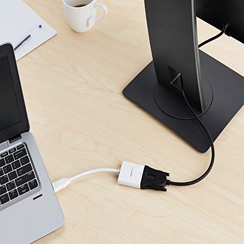Amazon Basics DisplayPort to DVI Adapter, 1-Pack, White