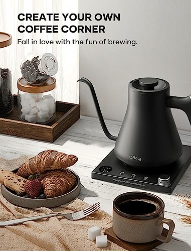 Gooseneck Electric Kettle, Offacy Pour Over Tea Kettles with LED Screen, ±1℉ Temperature Control, Full 304 Stainless Steel, Quick Heating, Hold, Mute, 0.68mm V-Shaped Spout, Hot Water Boiler, 0.9L