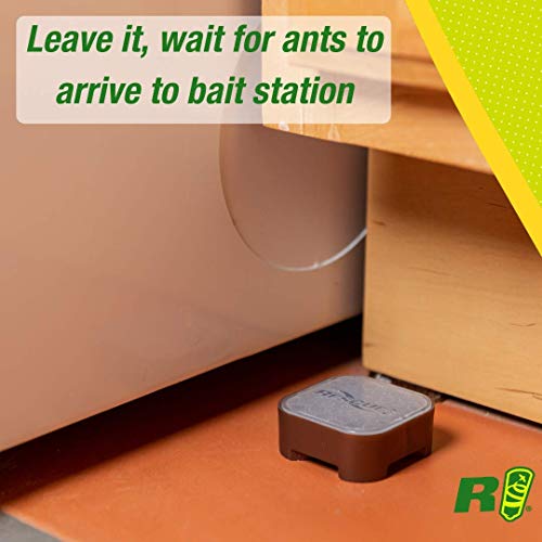RESCUE! Ant Baits β Indoor Ant Killer, Ant Trap Alternative - 6 Bait Stations