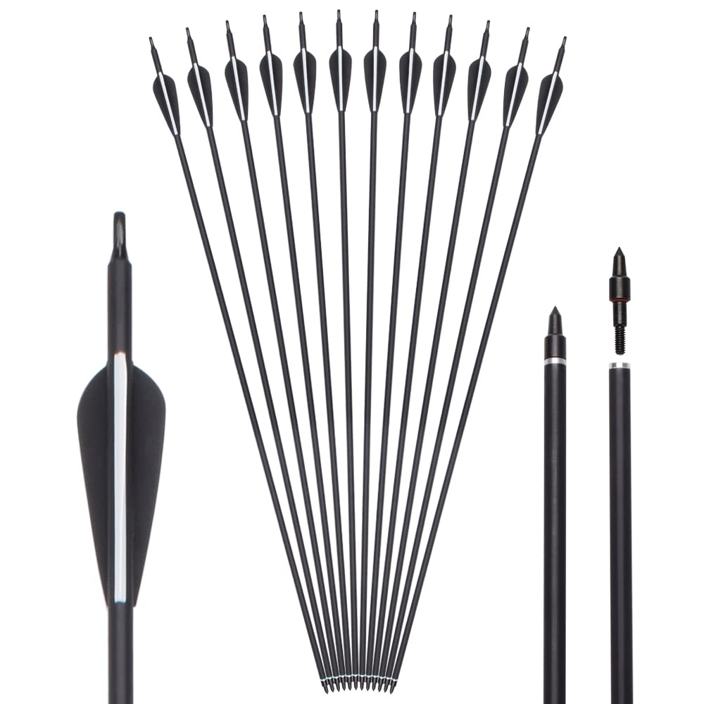 Archery Bow Carbon Arrow Hunting Target Practice Arrows 26 Inch with Removable Tips for Compound & Recurve Bow Spine 500 12 PCS