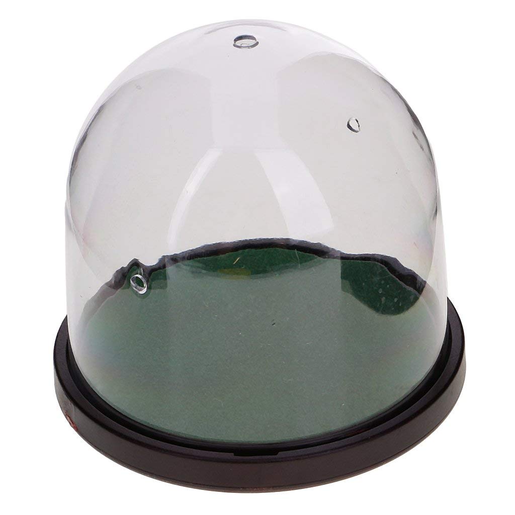 Dice Roller Cup Domes Hand Shaking Dice Cup Shaker for Party Guess Game Play