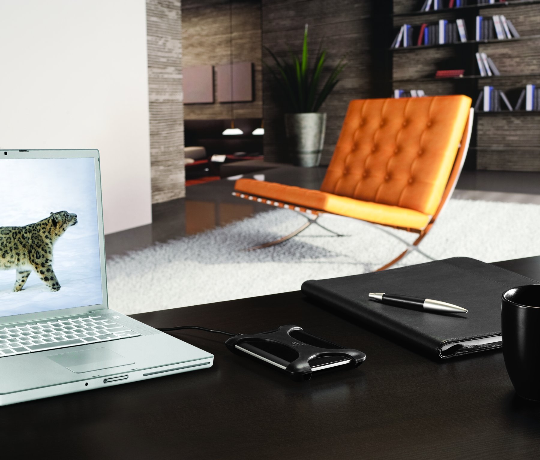 Iomega eGo Blackbelt Mac Edition 1 TB FireWire 800/FireWire 800/USB 2.0 Portable External Hard Drive 35115 (Black)