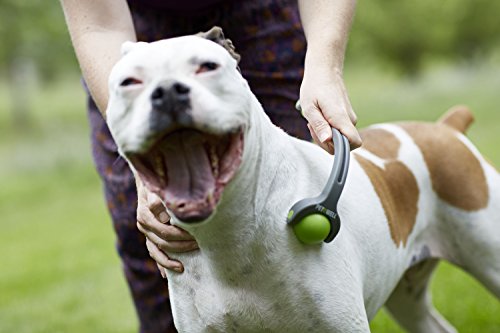 PetWell Dual Point Handheld Massage Roller Pets (Dogs, Cats)