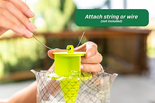 RESCUE! Big Bag Fly Trap β Disposable, Outdoor Use - 6 Traps