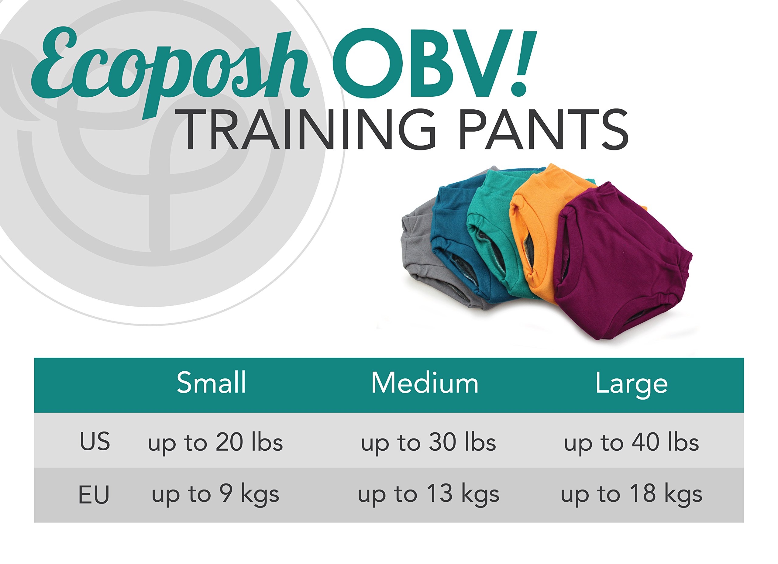 Kanga Care Ecoposh OBV Reusable Pull Up Toddler Underwear Potty Training Pants | Boysenberry Medium 2T/3T