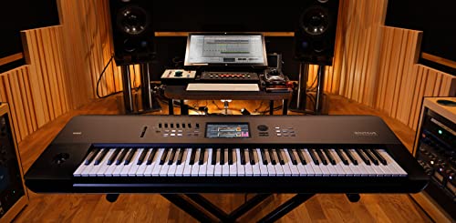 Korg Nautilus 61-Key Performance Synth Workstation Bundle with Sustain Pedal, MIDI Cables, and Austin Bazaar Polishing Cloth