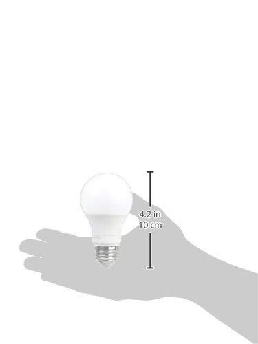 Amazon Basics - A19 LED Light Bulb 450 Lumens, Non-Dimmable, 40 Watt Equivalent, 10000 Hours, E26 Base, Pack of 25, Soft White