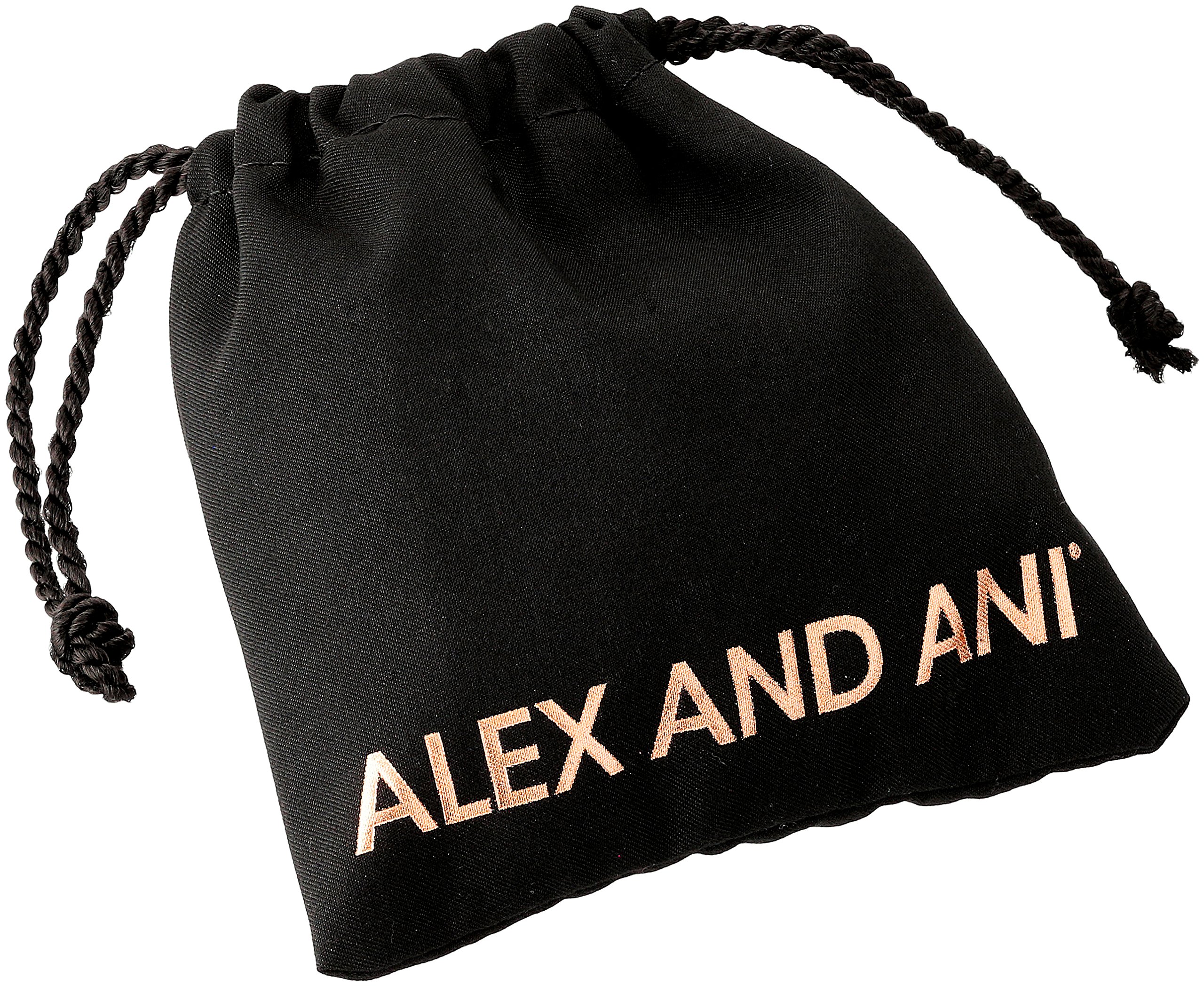 Alex and Ani Symbols and Tokens Expandable Bangle for Women, Spirited Skull Charm, Rafaelian Gold Finish, 2 to 3.5 in