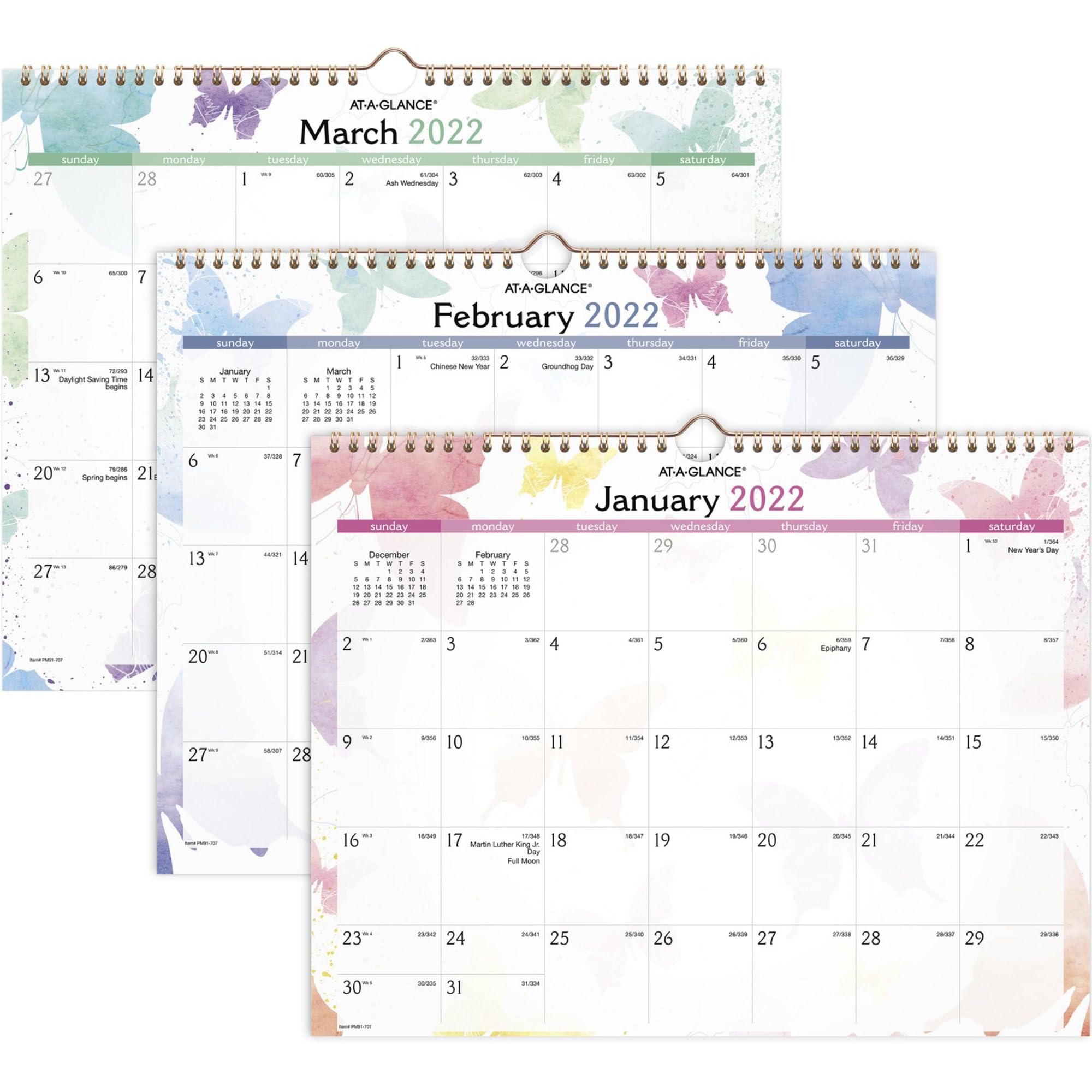 AT-A-GLANCE 2022 Wall Calendar by AT-A-GLANCE, 15" x 12", Medium, Monthly, Watercolors (PM91-707)