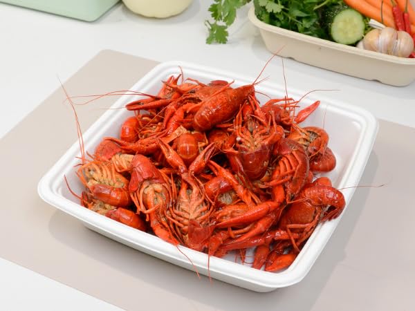 AICHEF 50 Pack 42 oz Compostable Deep Dish Plates, Extra Large Deep Square Disposable Food Trays for Seafood BBQ Large Salad - 9x9x1.7 inch