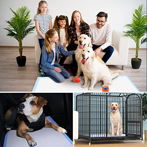Boscute XXL Thicken 6 Layers Heavy Absorbent 30"x36" Pet Training Dog Pee Pads, Extra Large Polymer Leak-Proof Quick Dry Puppy Pee Pads, Disposable Pee Pads for Dogs Cats Rabbit