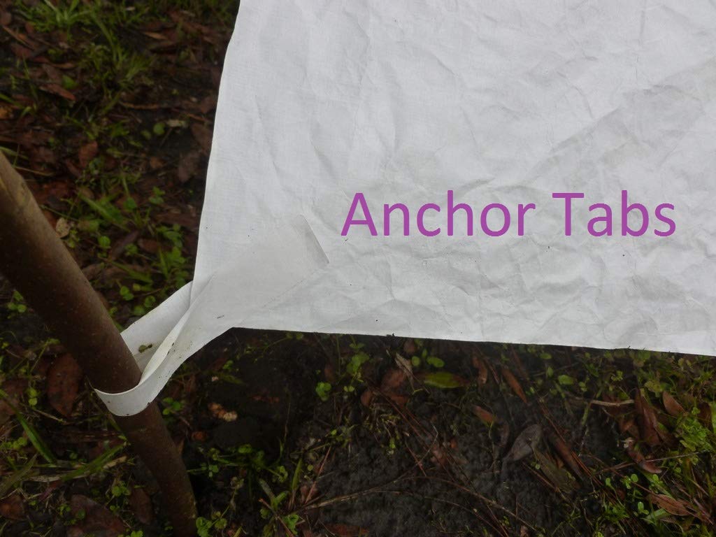 Anchor Tab Products ( 16 Ultralight Tyvek Self Adhesive Anchor Tie-Off Loops