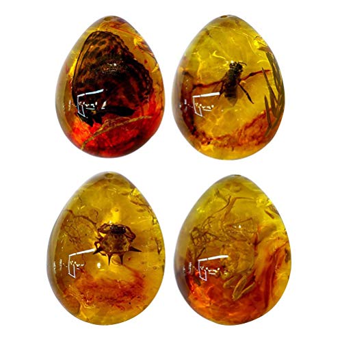 VORCOOL Amber Fossil with Insects Samples Stones Crystal Specimens Home Decorations Collection Oval Pendant for Kids (Random Pattern,8 x 6 x 1.8cm,1pc)