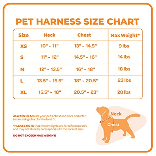 Voyager Step-In Plush Dog Harness β Soft Plush, Step In Vest Harness for Small and Medium Dogs by Best Pet Supplies - Black Plush, S (Chest: 14.5 - 16")