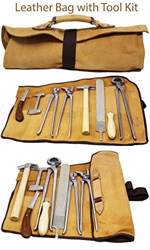 Professional Equine Horse Farrier Tool Kit Grooming Hoof Bot Shoe Puller Nipper Rasp 984109