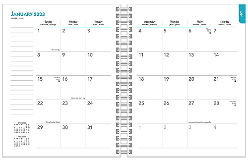 Kittens | 2023 6 x 7.75 Inch Spiral-Bound Wire-O Weekly Engagement Planner Calendar | New Full-Color Image Every Week | BrownTrout | Animals Cats Pets