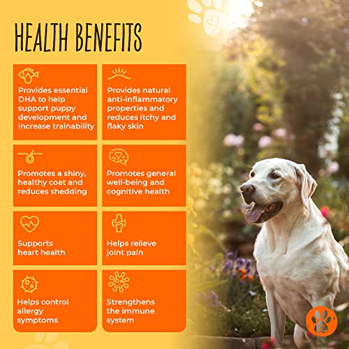 Omega-3 Fish Oil for Dogs by Pawsomely Healthy - High in EPA, DHA - Allergies, Itching, Shedding - Supports Immune System, Skin, Coat, Heart, Joints - 90 Powder Capsules