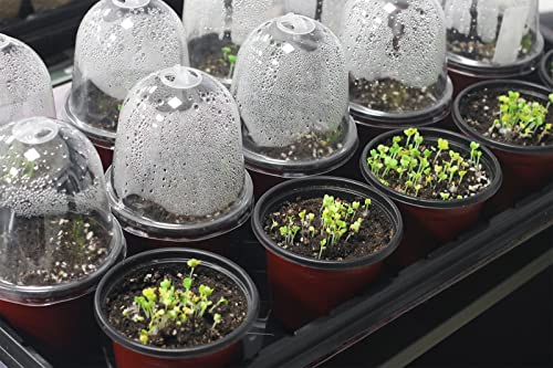 BEWAVE Plant Nursery Pots with Humidity Dome, 100 Sets Indoor Gardening Pot Planting Containers Starter Seed Starting Containers Planters with 100 Pcs Plant Labels, 3.5"