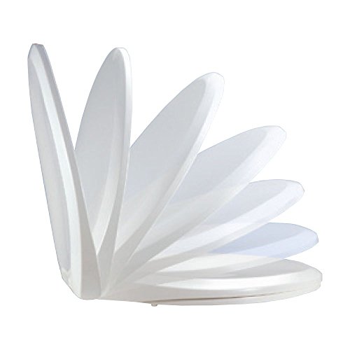 Bath Décor 2F1E6-50 Molded of high-Impact Resistant Polypropylene, Contemporary Design Slow Close plastic, Elongated
