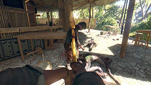 Dead Island Definitive Edition Collection (PS4)