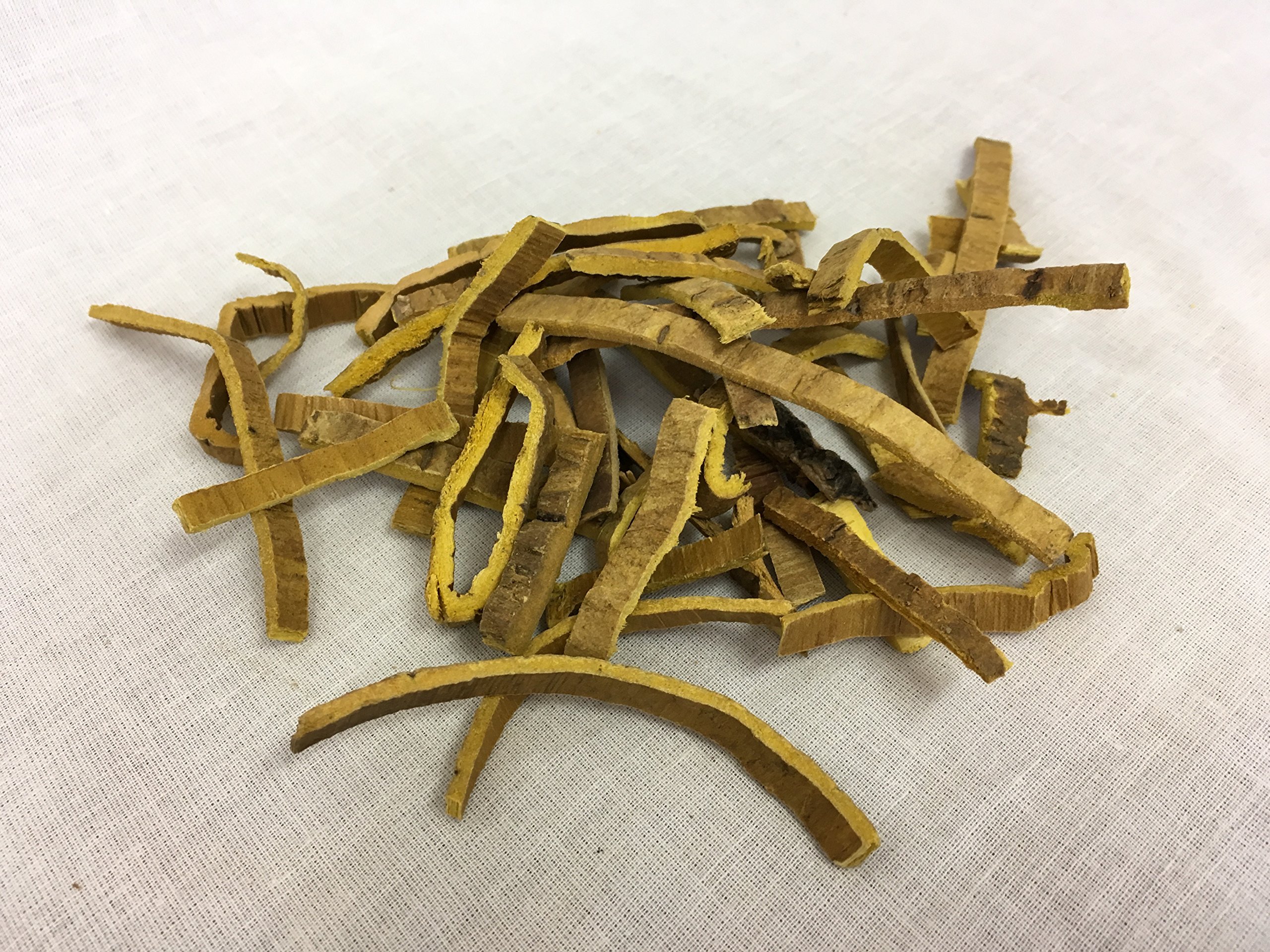 Amur Cork Tree Bark | Phellodendron chinense Schneid. | Huang Bai | 黄柏