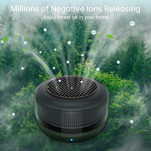 Small Air Purifier, QUEENTY Car Air Purifier Ionizer with True H13 HEPA Filter, USB Quiet Desktop Air Purifiers for Bedroom,Car, Small Room, Pets (Black)