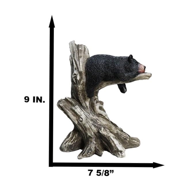 Ebros Lazy Days of Summer Black Bear Sleeping On Tree Branch Statue Wildlife Forest Rustic Cabin Decor Bear Figurine