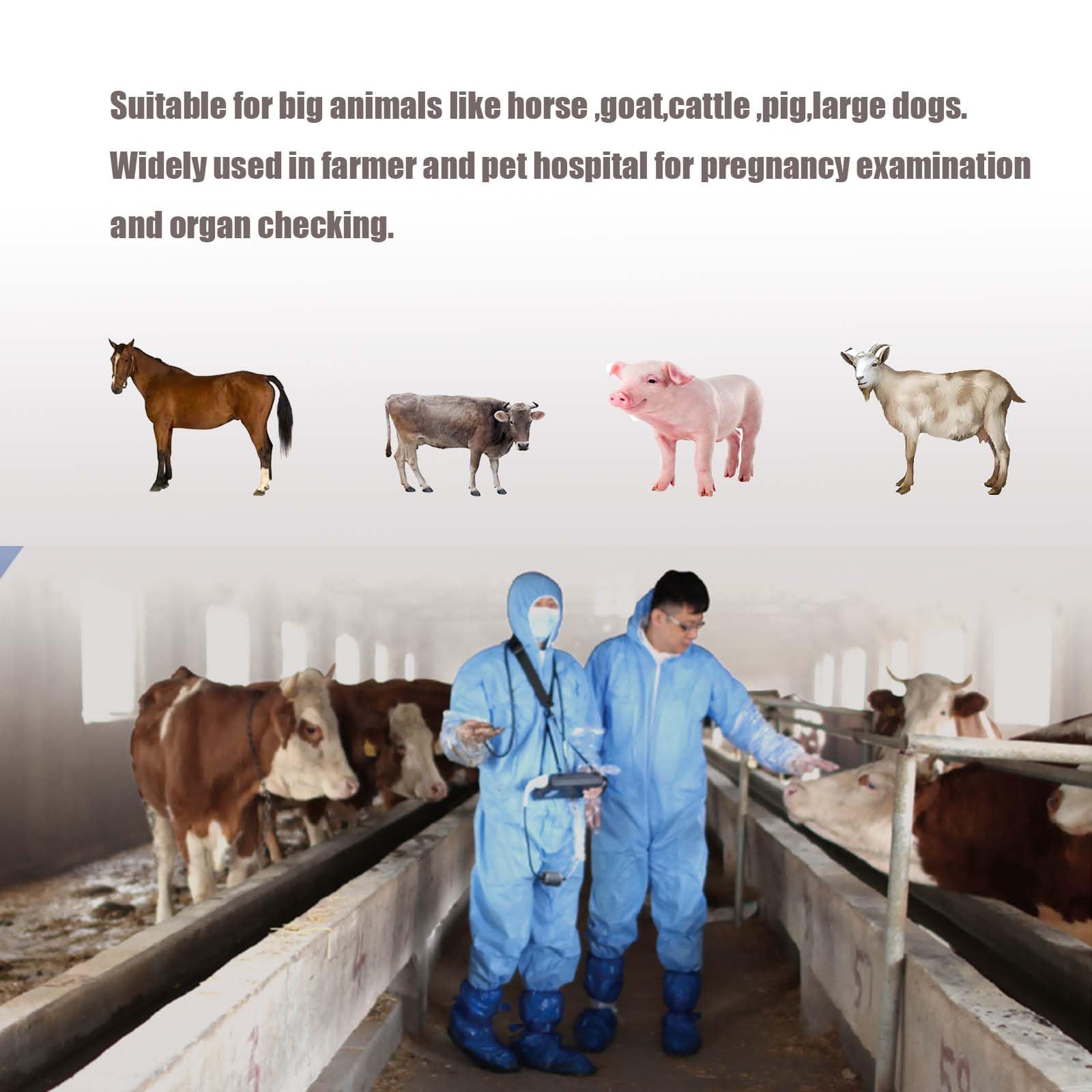 Dawei Vet Ultrasound Machine Portable Veterinary Handheld Scanner B-Ultra Sound with 3.5MHz Probe for pregnancy Pig,Sheep,dog,cat use