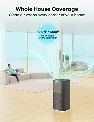 Welov P200S Air Purifiers for Home Large Room with An Extra H13 True HEPA Pet Care Filter Bundle