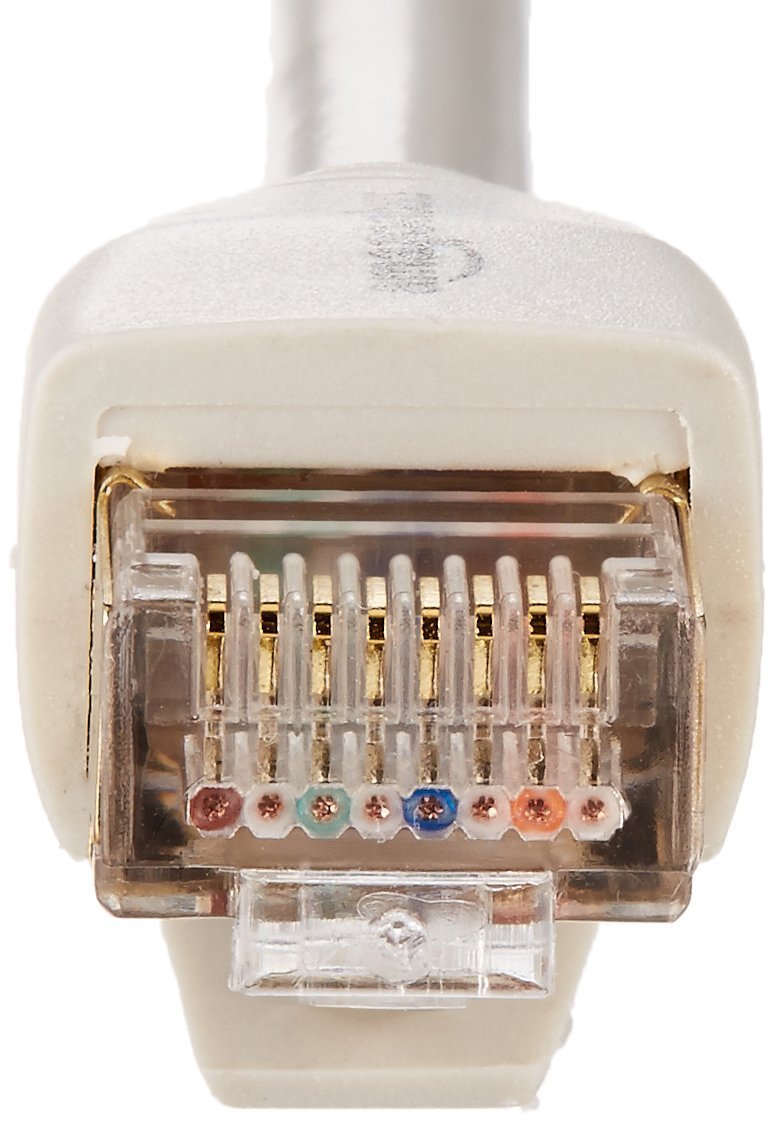 Amazon Basics HL-007286 RJ45 Cat7 Network Ethernet Patch Cable - 3 Feet, White