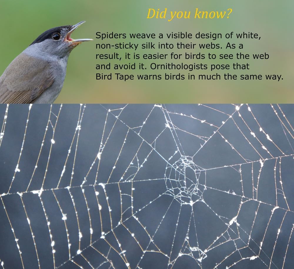 CollidEscape Spiderweb Clear Bird Tape for Windows (3/4" x 40' - Covers 2 to 3 Windows) | Window Decals to Prevent Bird Strike Prevention for Windows | Clear