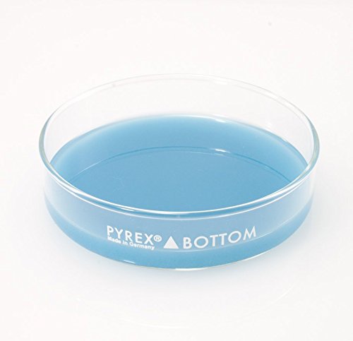 Living Systems Instrumentation DD-90-S-LTBLU Large Dissection Petri Dish, Light Blue, 93 mm D x 22 mm H