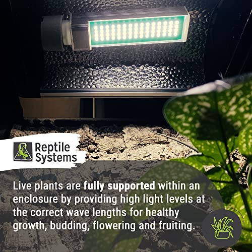 Reptile Systems New Dawn LED Compact Lamp, 6.69β: 6500K, 13W β Full Spectrum LED Luminaire Lighting for Natural Plant Growth in Terrariums, Vivariums, Hydroponics & Aquaponics