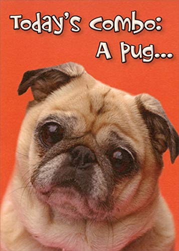 Designer Greetings Today's Combo Pug Funny : Humorous Dog Birthday Card