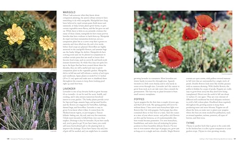 Companion Planting for Beginners: Pair Your Plants for a Bountiful, Chemical-Free Vegetable Garden