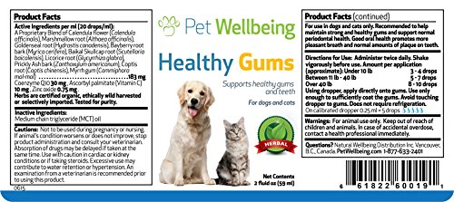 Pet Wellbeing - Healthy Gums for Cats - Natural Support for for Healthy Gums, Teeth and Breath in Felines - 2oz (59ml)