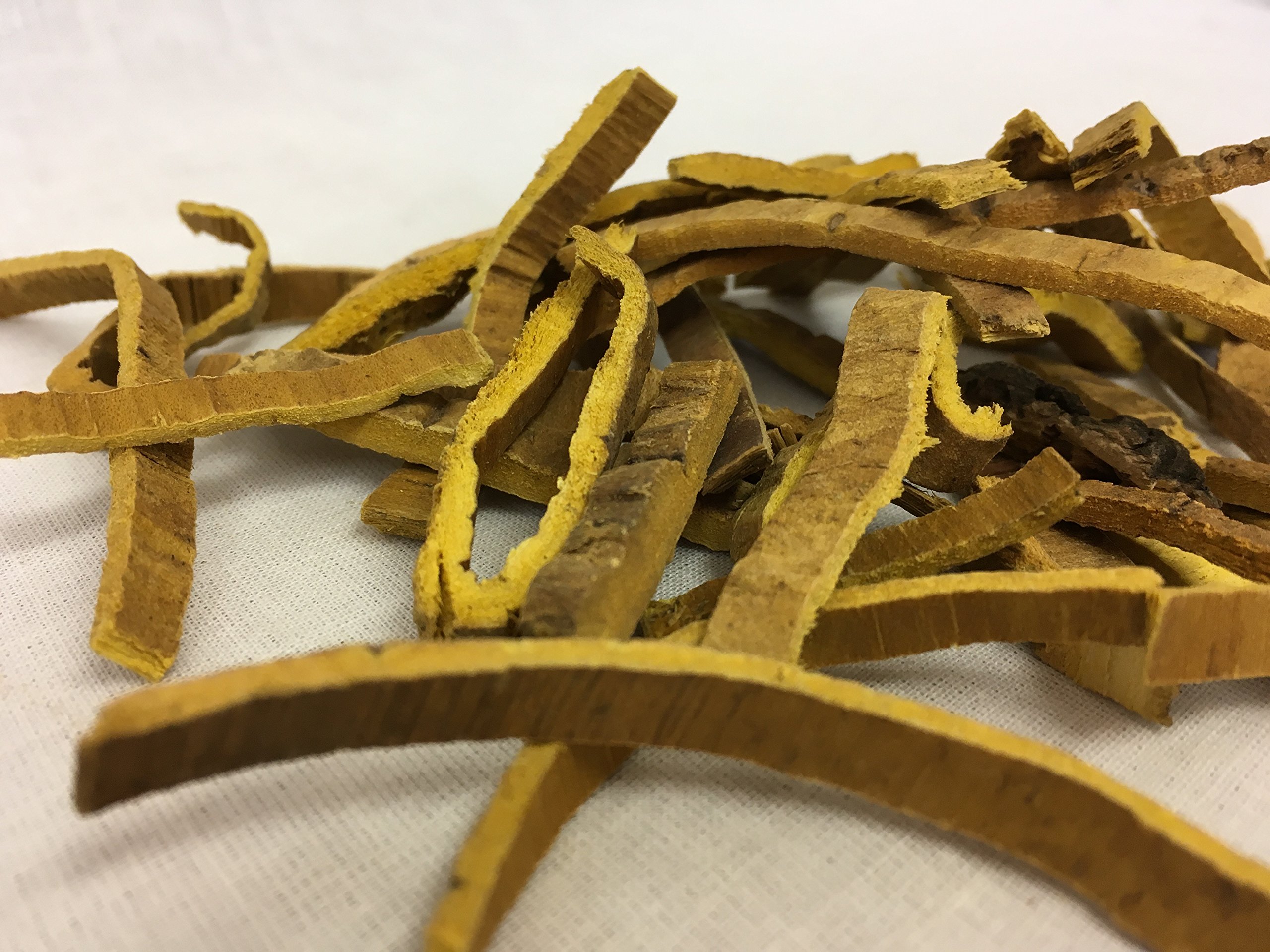Amur Cork Tree Bark | Phellodendron chinense Schneid. | Huang Bai | 黄柏
